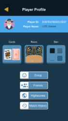 Crazy Eights - LITE Games